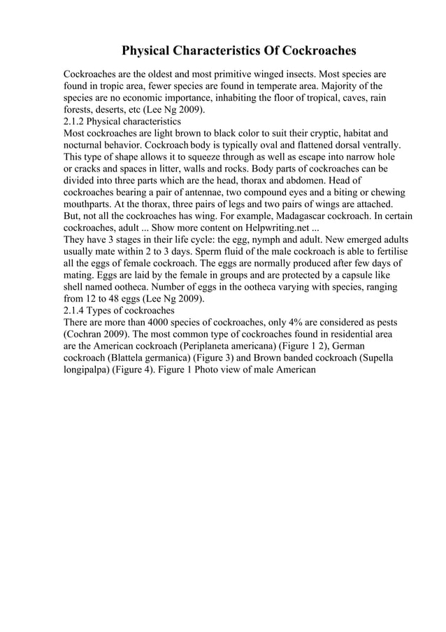 Jay Gatsby Character Analysis Essay.pdf