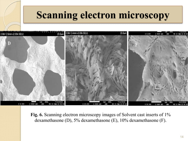 jay gupta ppt JC.pptx