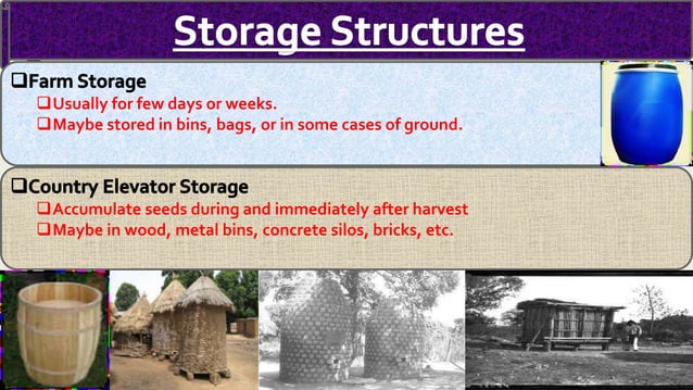 Seed storage and packaging | PPTX | Agriculture | Industries