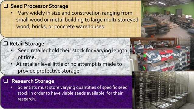 Seed storage and packaging | PPTX | Agriculture | Industries