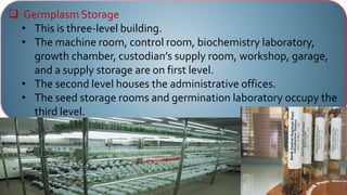 Seed storage and packaging | PPTX