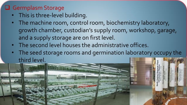 Seed storage and packaging | PPTX | Agriculture | Industries