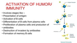 Humoralimmunity.pptx