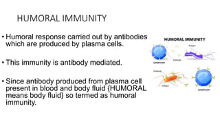 Humoralimmunity.pptx