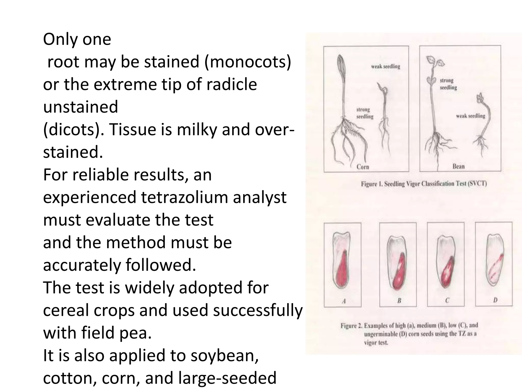 Vigour and Its testing.pptx