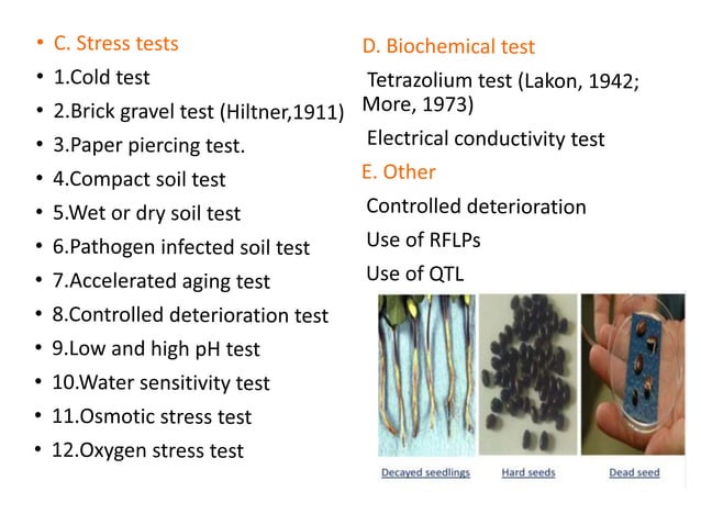 Vigour and Its testing.pptx