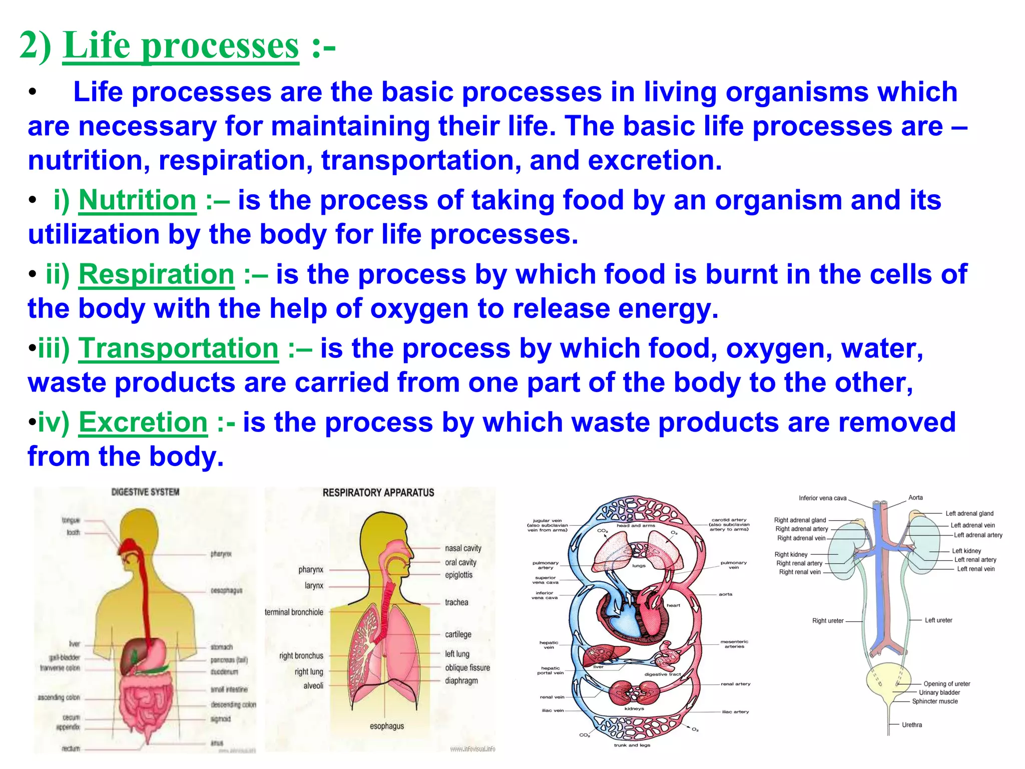 Life processes. | PPTX