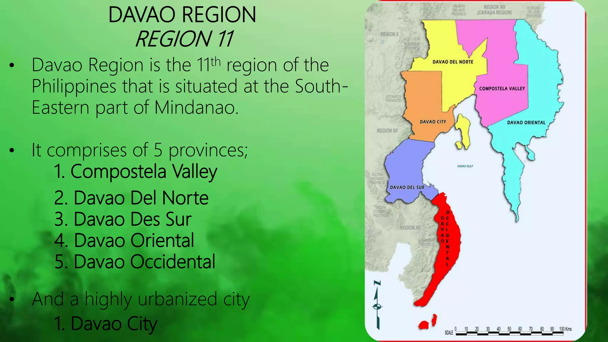REGION 11: DAVAO REGION | PPTX