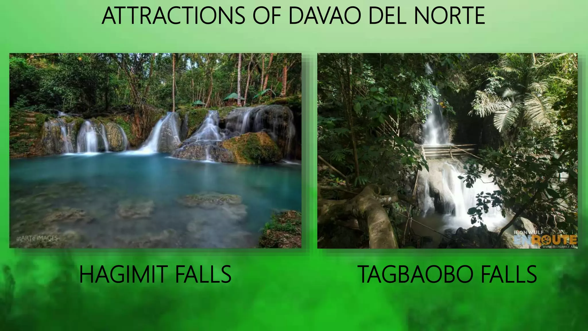 REGION 11: DAVAO REGION | PPTX