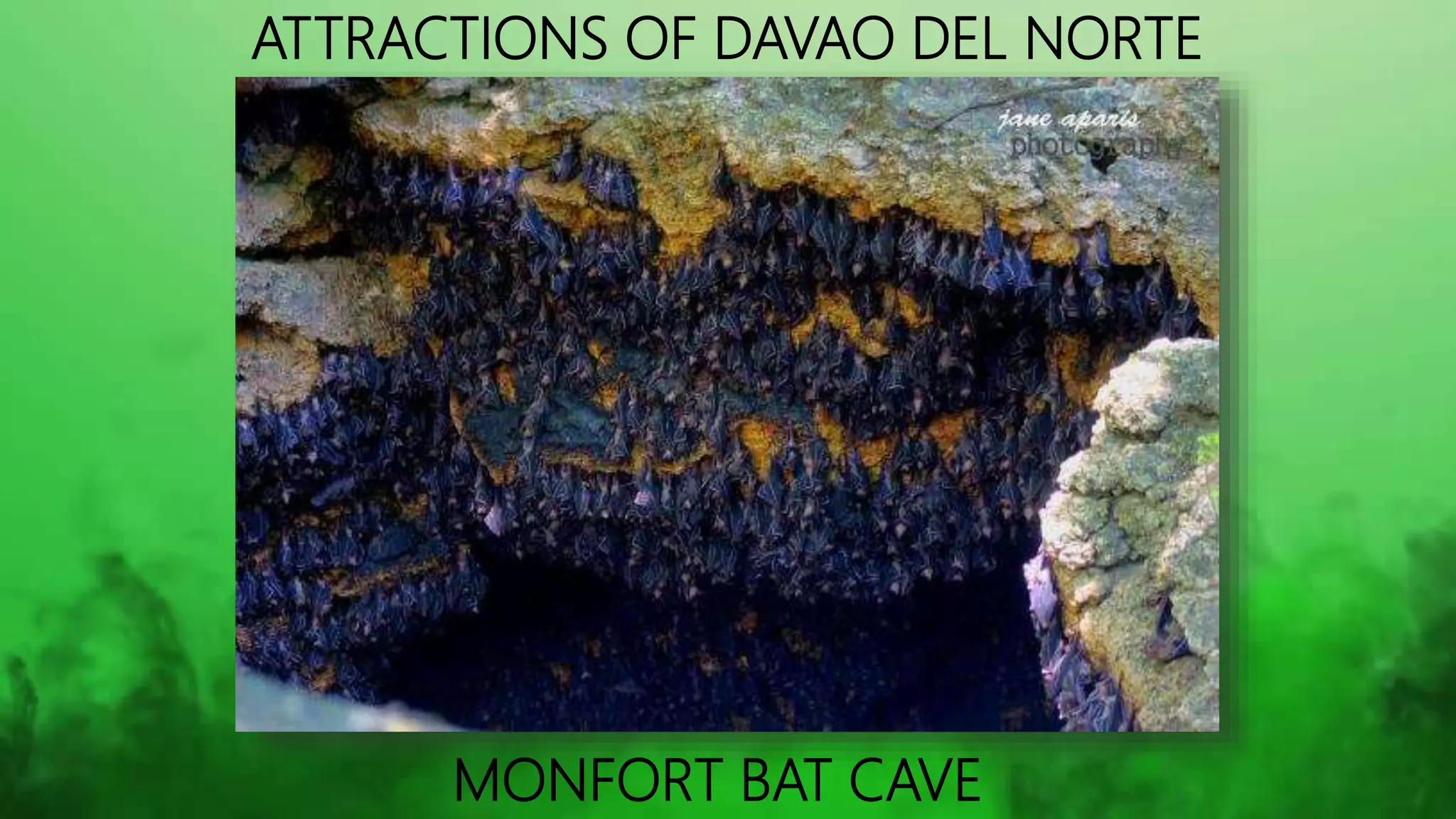 REGION 11: DAVAO REGION | PPTX