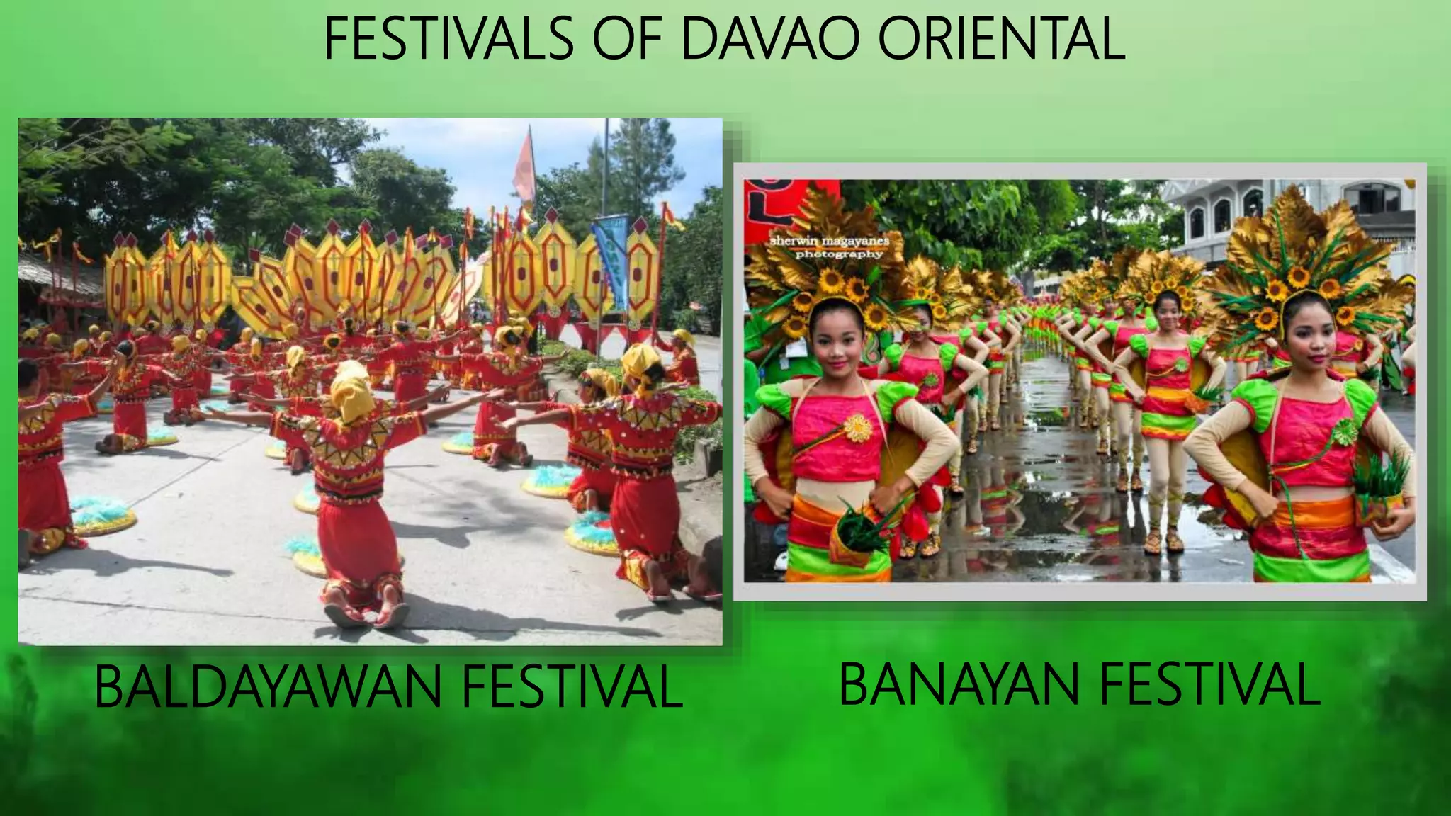 REGION 11: DAVAO REGION | PPTX