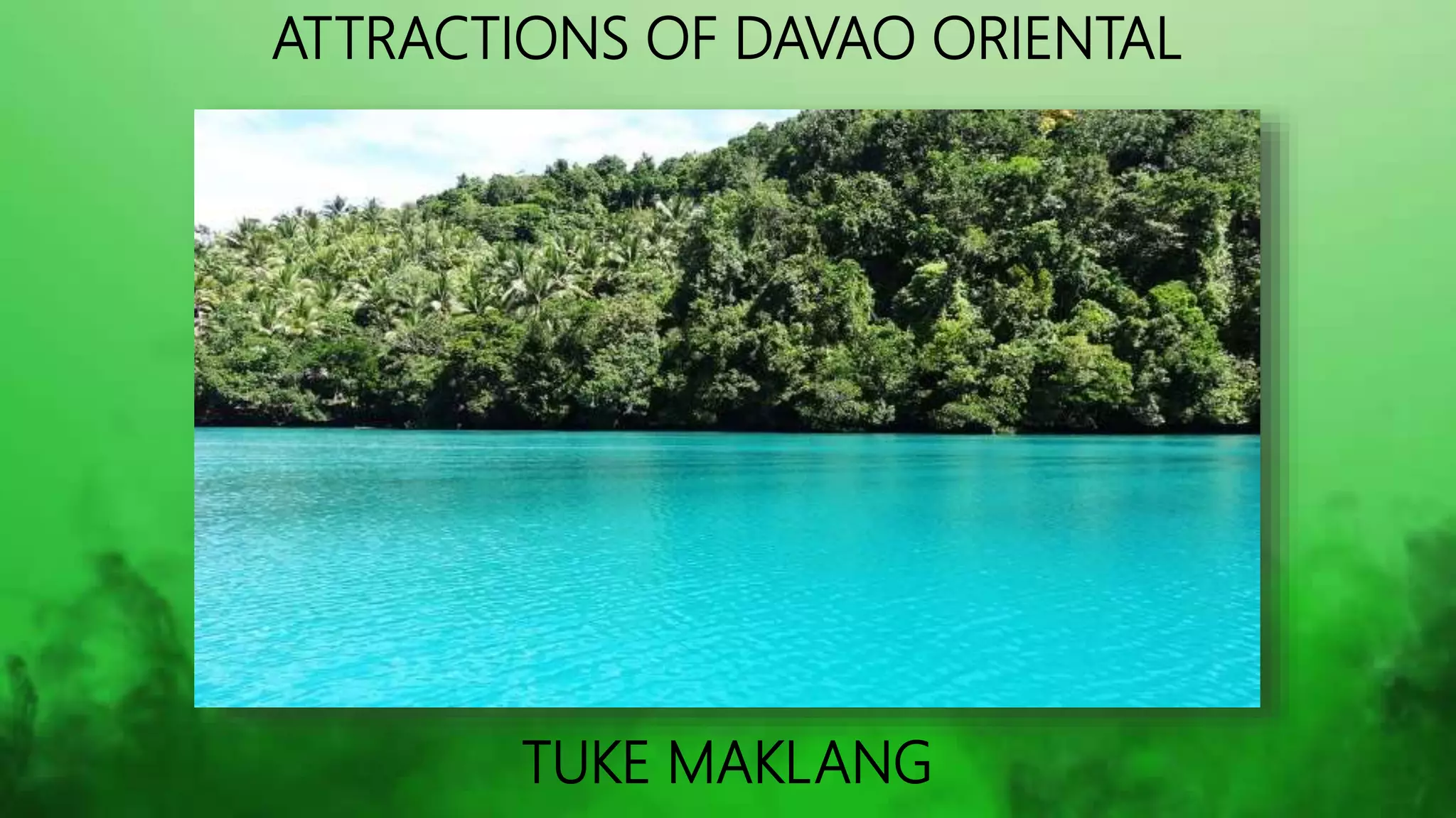 REGION 11: DAVAO REGION | PPTX