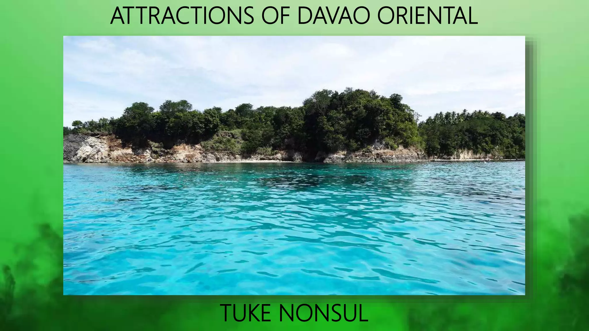REGION 11: DAVAO REGION | PPTX