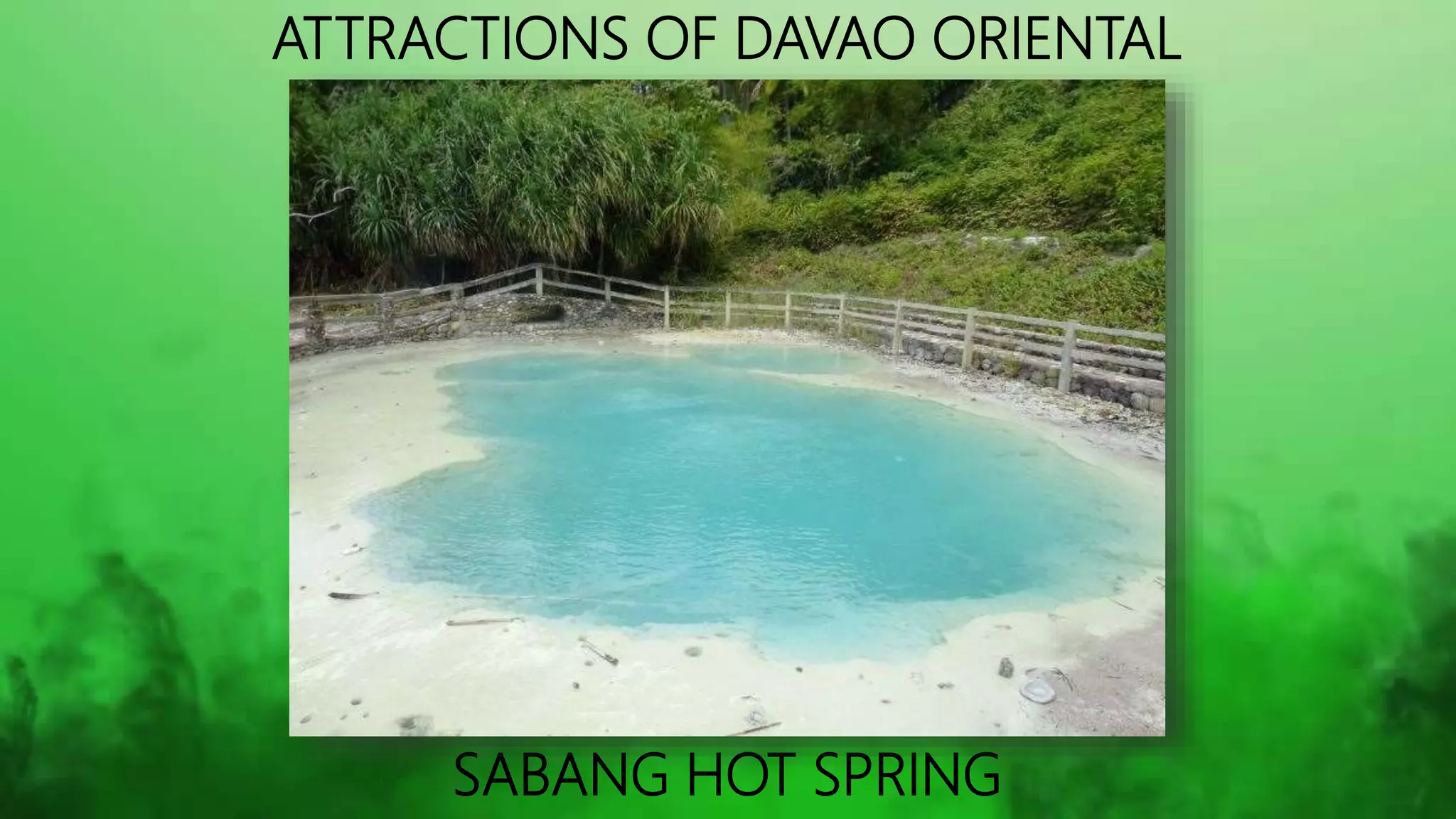 REGION 11: DAVAO REGION | PPTX