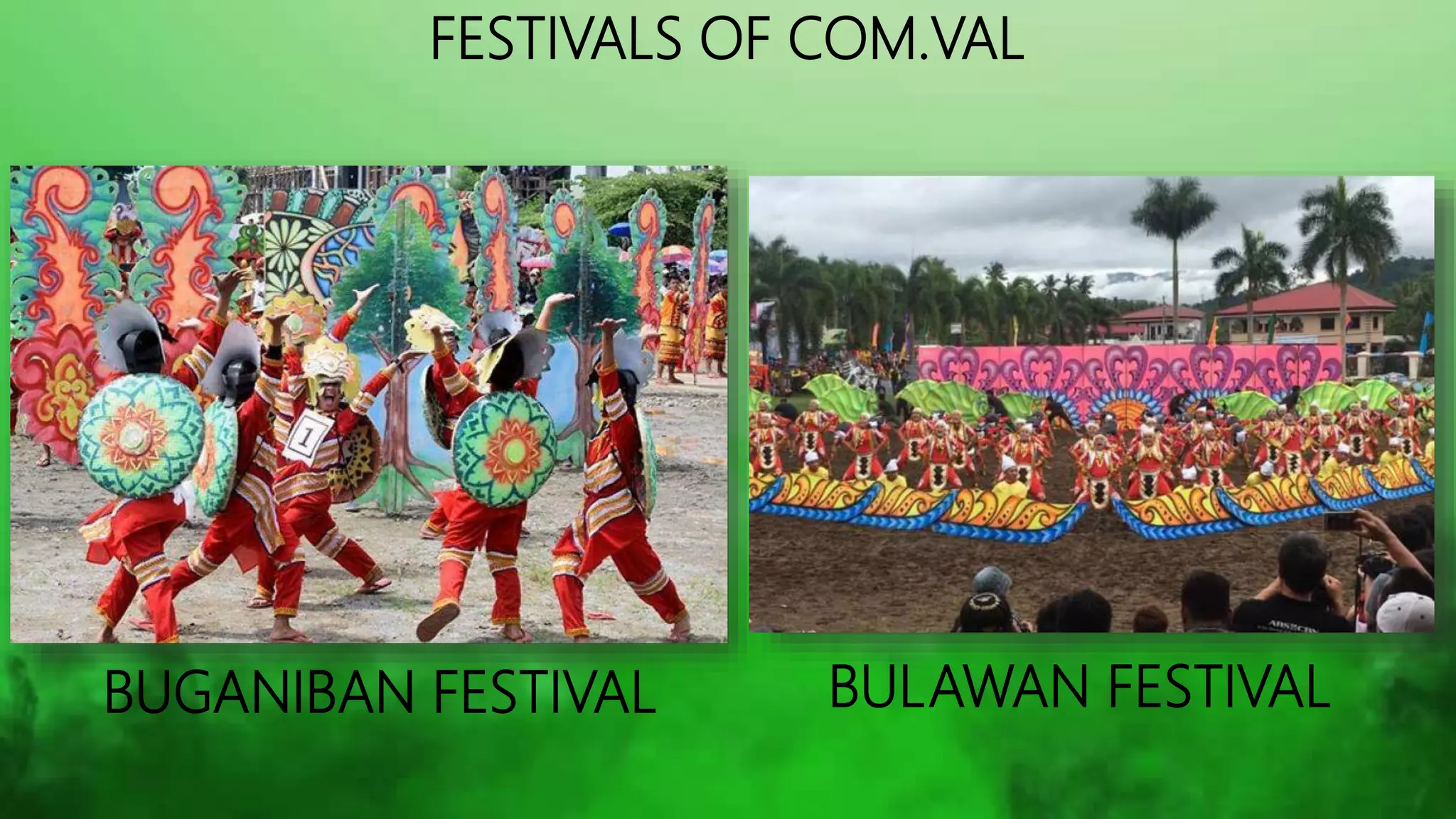 REGION 11: DAVAO REGION | PPTX