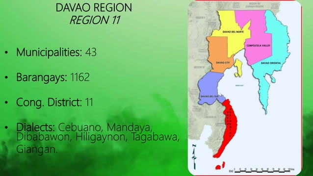 REGION 11: DAVAO REGION | PPTX