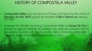 REGION 11: DAVAO REGION | PPTX