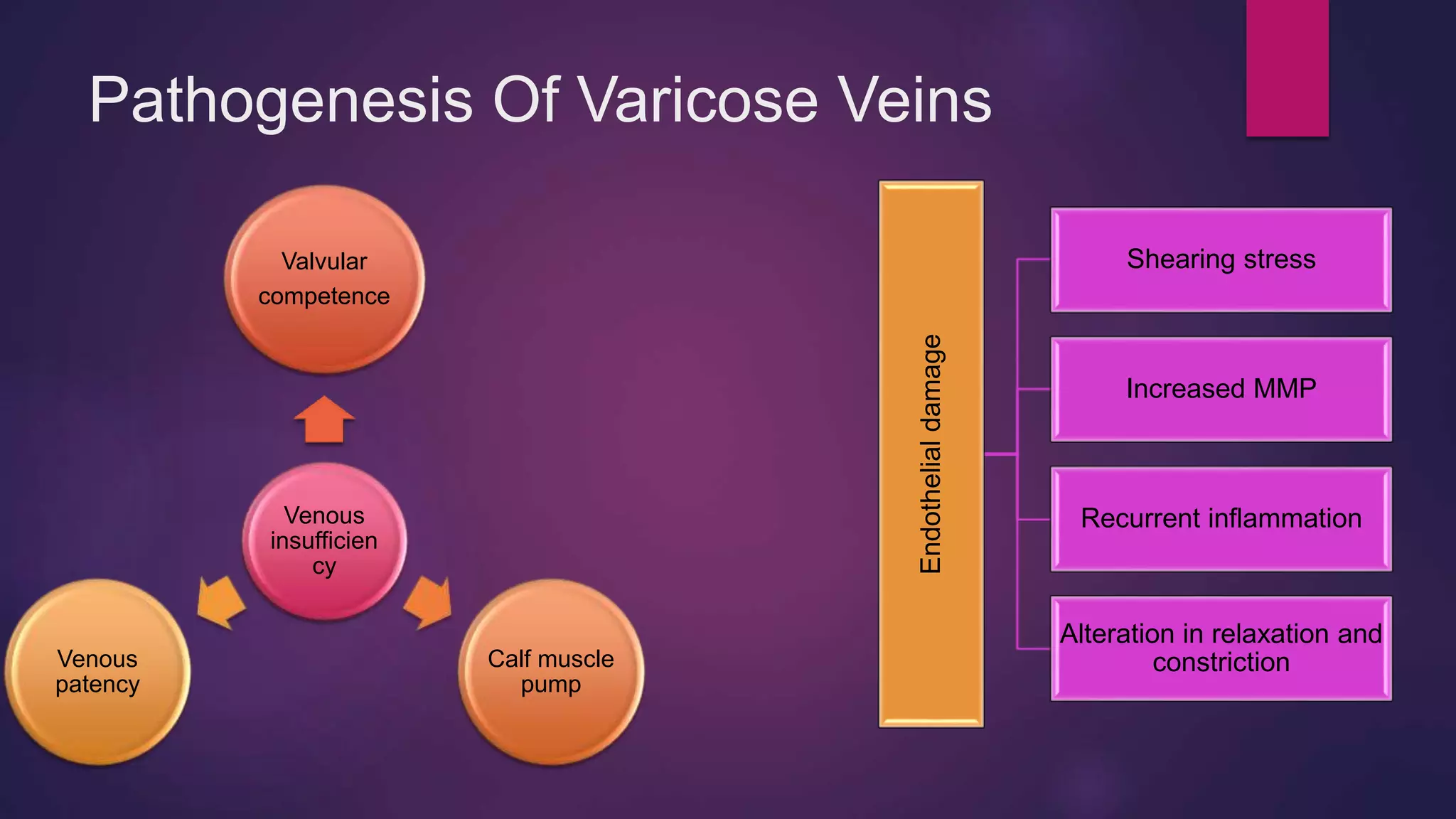 Varicose Vein | PPTX