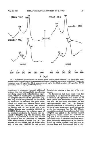 Nitrate Reductase Complex of Escherichia coli K-12: Participation of ...