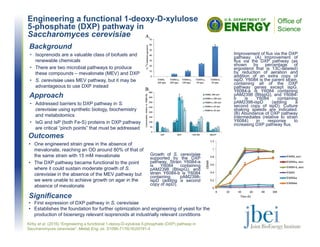 JBEI Research Highlights December 2016 | PPT