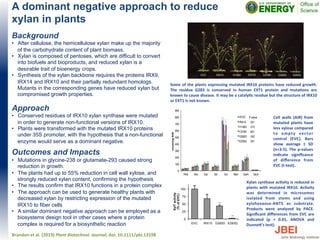 JBEI June 2019 highlight slides | PPT
