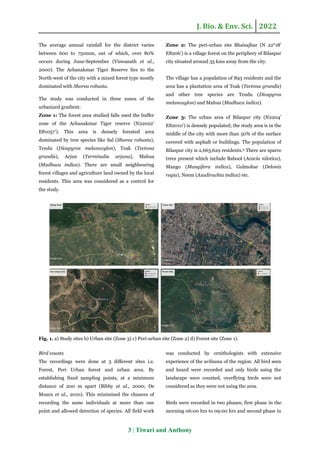 Anthropogenic noise reduces bird species richness and diversity along a ...