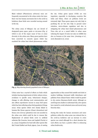 Anthropogenic noise reduces bird species richness and diversity along a ...