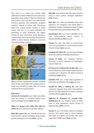 Anthropogenic noise reduces bird species richness and diversity along a ...