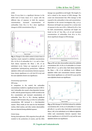 Neuro-genotoxicity assessment of sublethal exposure of carbosulfan to ...