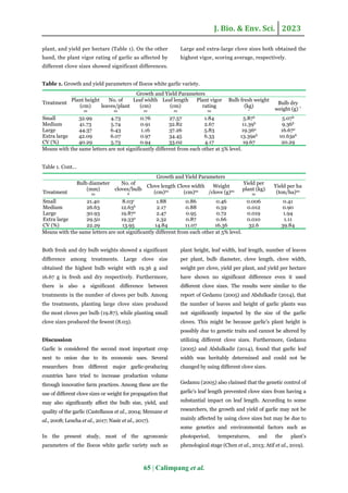 Classification of Clove sizes as planting material to the bulb yield of ...
