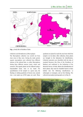 Diversity and identification of aquatic macrophytes of four lakes of ...