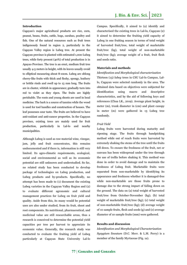 Fruit yield potential of Lubeg (Syzygium lineatum (D. C. Merr. & L. M ...