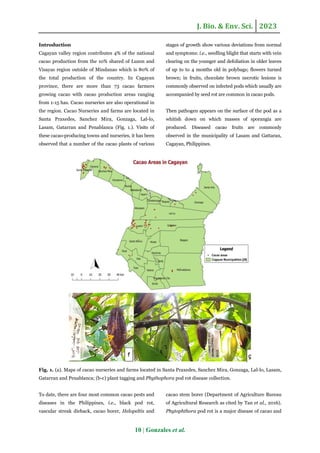 Symptomatology and pathogenicity of Phytophthora pod rot disease ...
