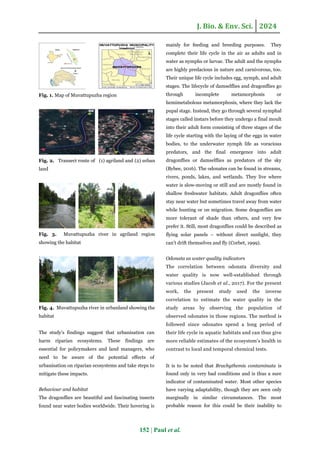 Odonata fauna in adjoining riparian agriland and the riparian urbanland ...