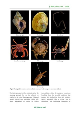 Diversity of macrobenthic invertebrates in the mangrove ecosystem of ...