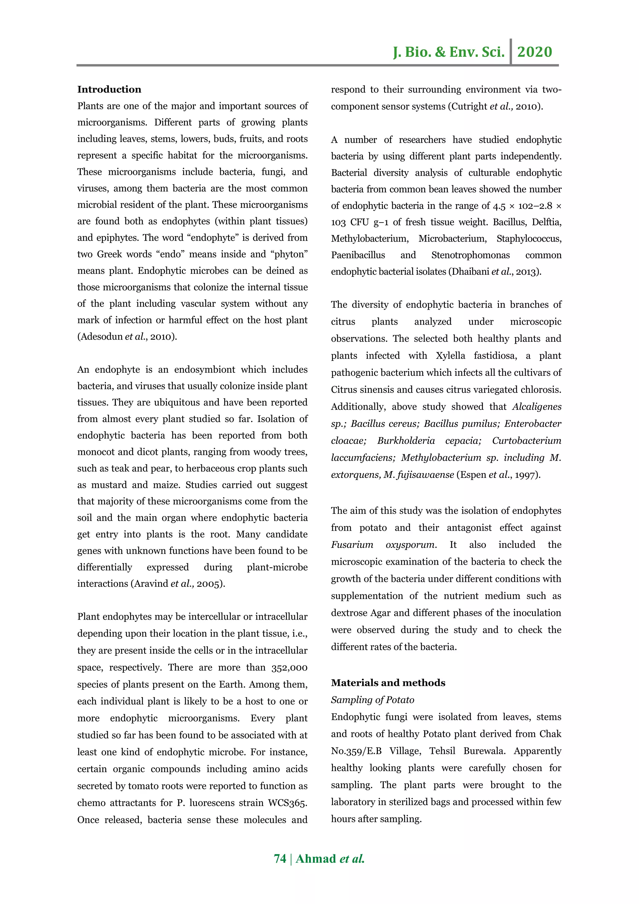 Isolation of endophytes from potato and their antagonist effect against ...