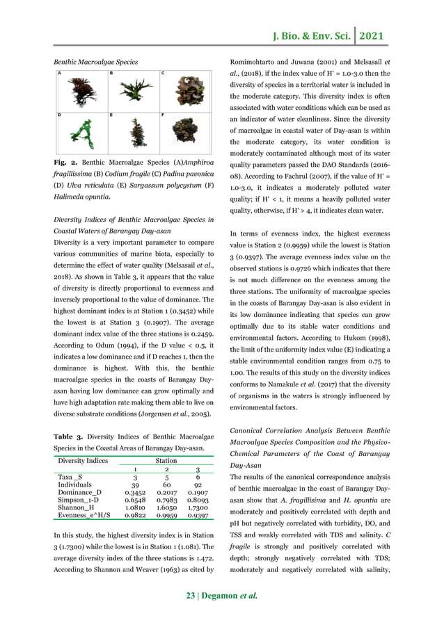 Species composition of benthic macroalgae in the coastal areas of ...