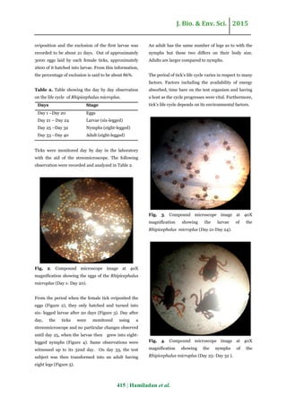 Elucidation of cow tick Rhipicephalus microplus (formerly Boophilus microplus) reproduction in ...