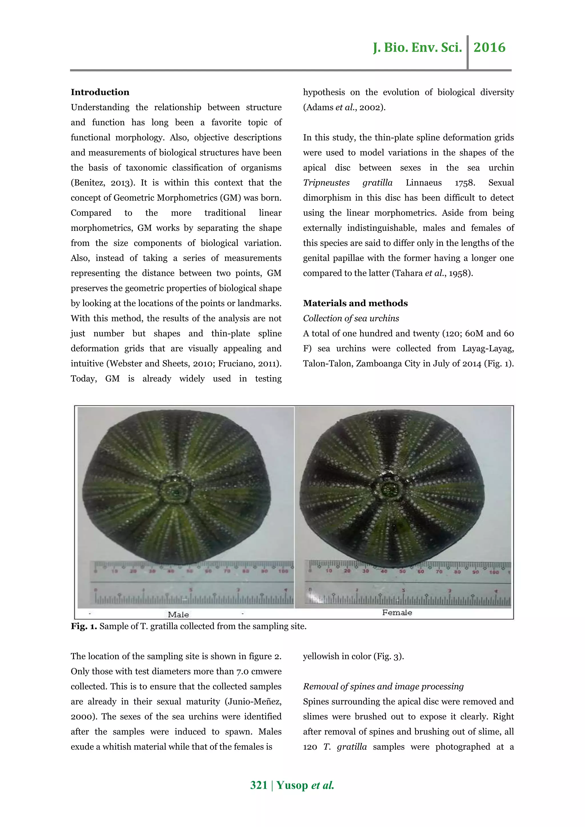 Using Thin-plate Spline Grids in Modeling Sex Differences in the Shapes ...