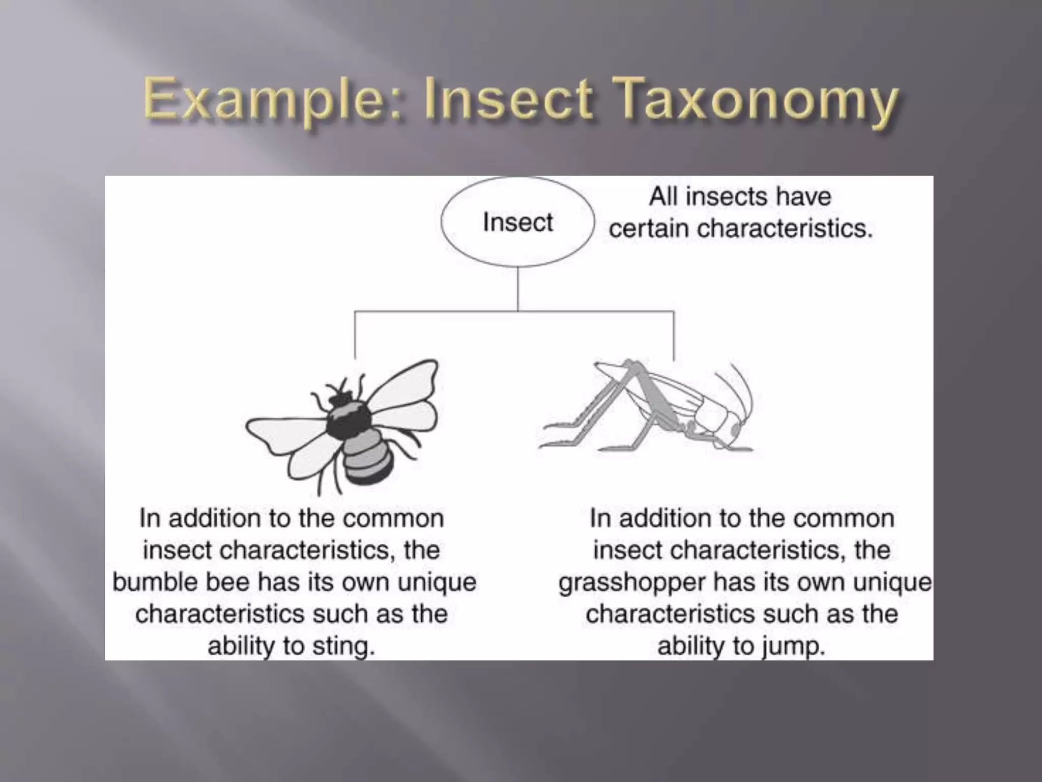 Structured Languages | PPT