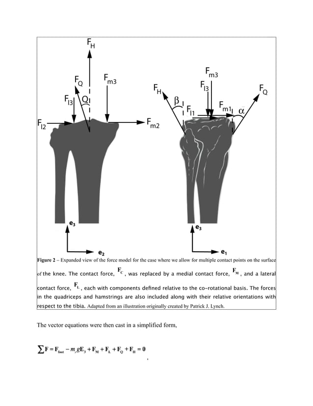 Jbit Medpro Review - Lower Limb Purdue Biomechanical Analysis | PDF