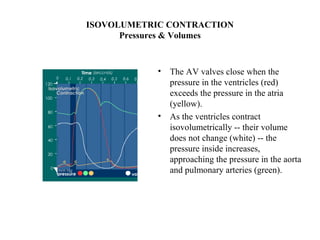 Cardiac cycle DR NIKUNJ R SHEKHADA (MBBS,MS GEN SURG ,DNB CTS SR) | PPT
