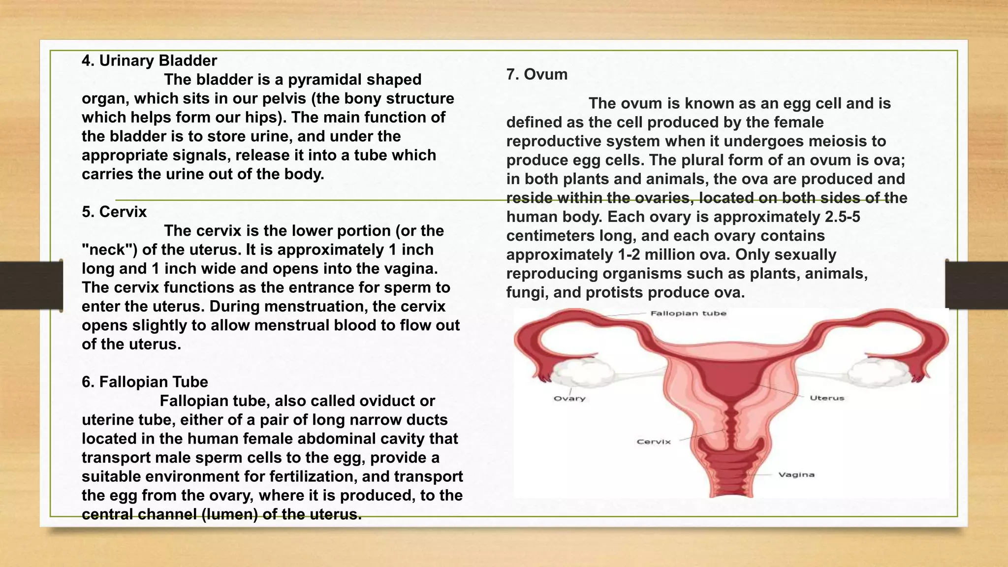 JBOY PPT SCIENCE.pptx