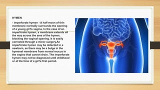 JBOY PPT SCIENCE.pptx