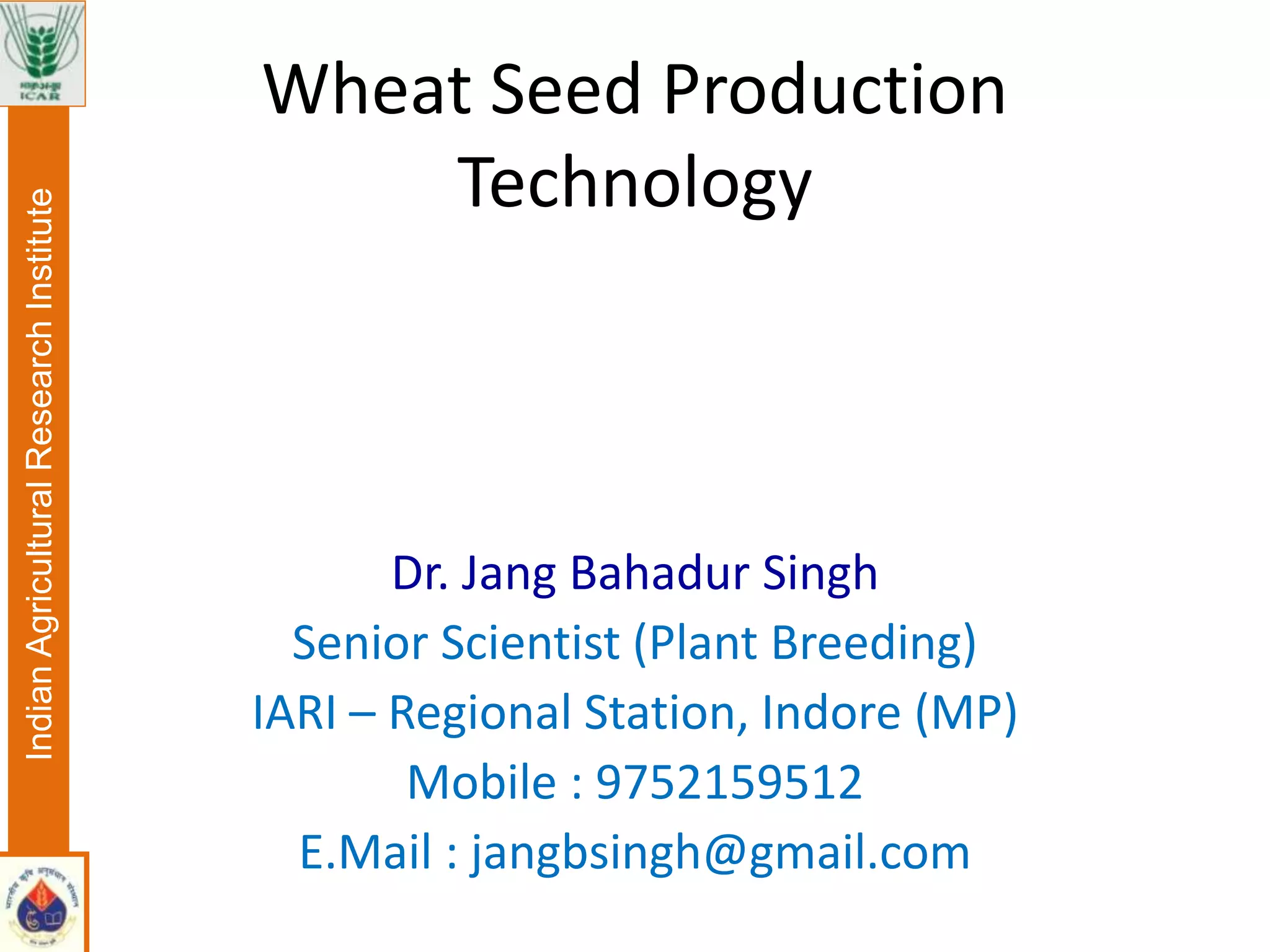 Wheat Seed Production Technology In Central India | PPTX