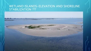 JBTF Spring 2024 wetland island elevation and shoreline stabilization.pptx