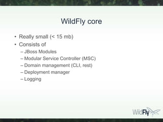 Extending WildFly | PPT