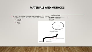 Surgical outcomes of post traumatic posterior urethral strictures in ...