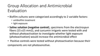 Curcumin—A Natural Medicament for Root Canal Disinfection: Effects of ...