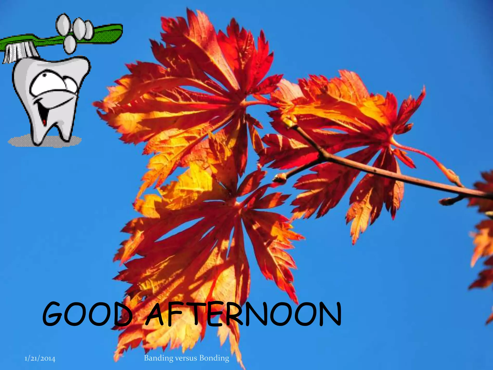 Banding versus bonding of molar bands in fixed Orthodontic treatment ...